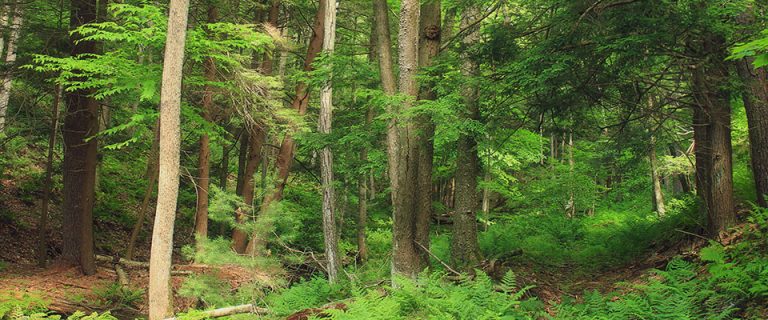 MULTIFLOW PRINT | Bicester